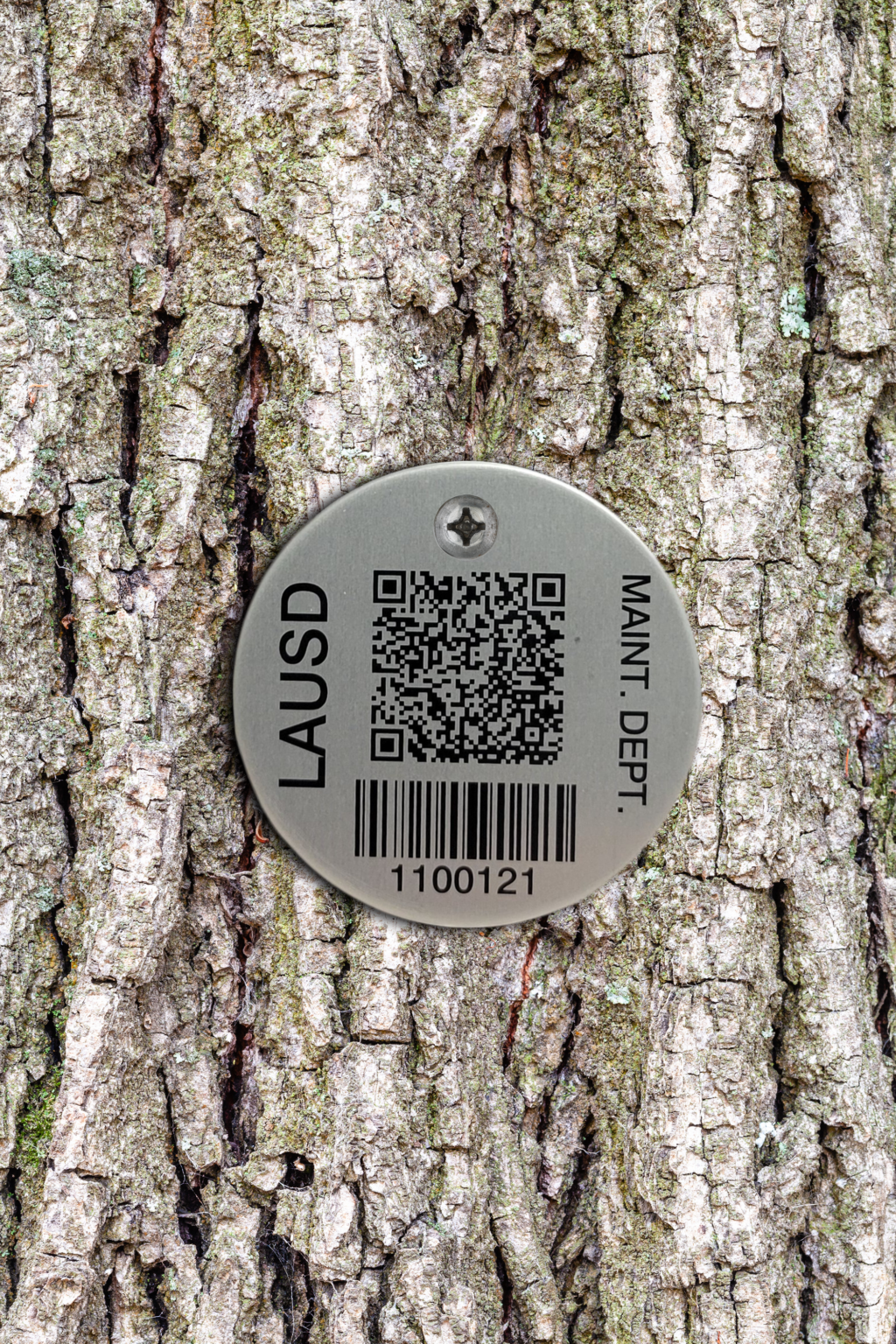 Metalphoto® Aluminum Tags Fastened to Trees for Identification Purposes ...